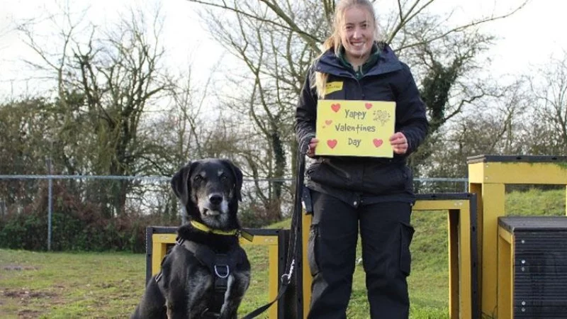 Dogs Trust Snetterton | PAWSecondChance
